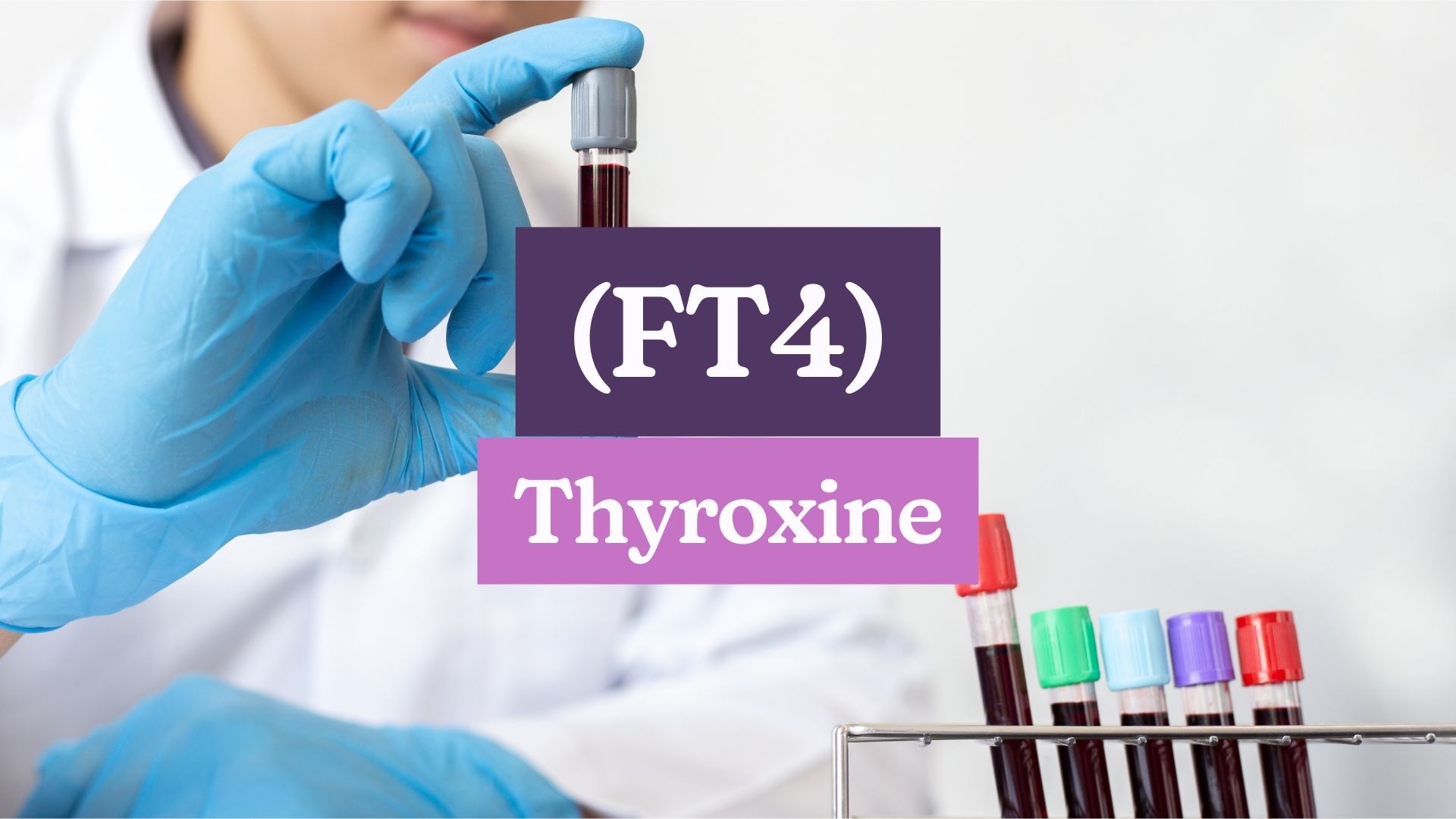 FT4 (ECLIA) by Hi-Precision at BACOOR CAVITE | Hati Health