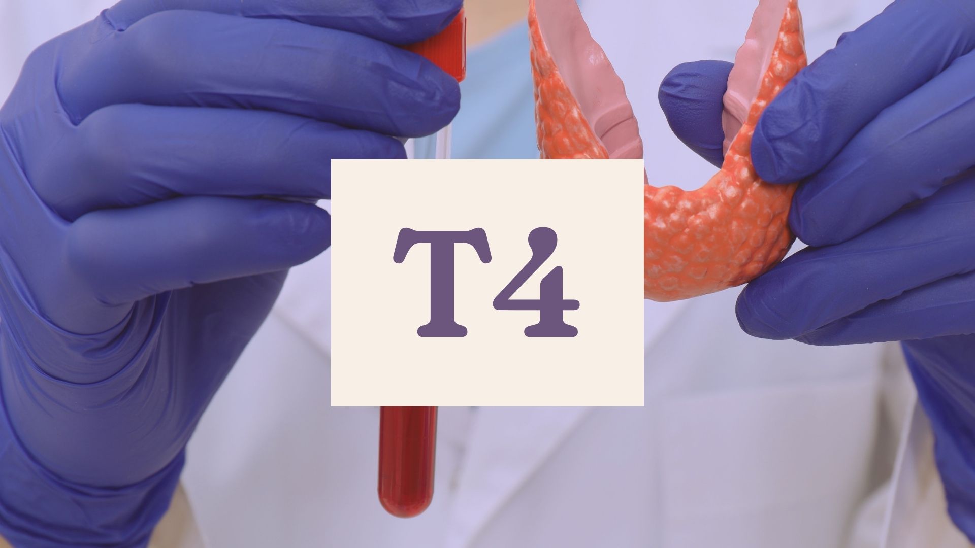 T4 by Hi-Precision at LACSON | Hati Health