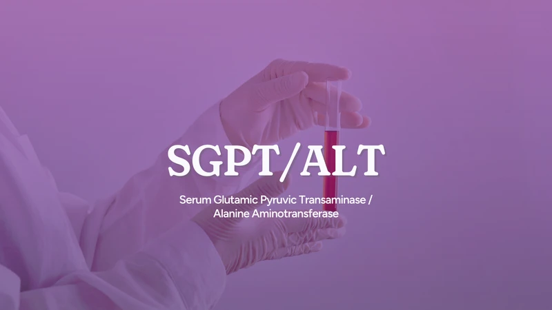 SGPT/ALT by Hi-Precision at BACOOR CAVITE | Hati Health