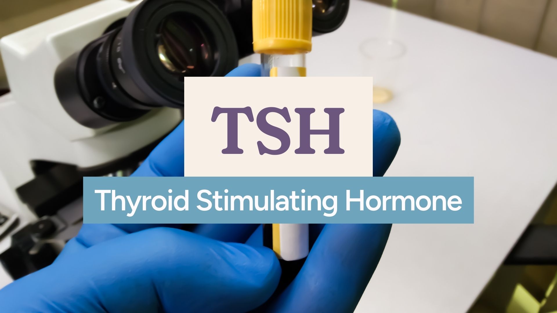 TSH (ECLIA) by Hi-Precision at NOVALICHES | Hati Health