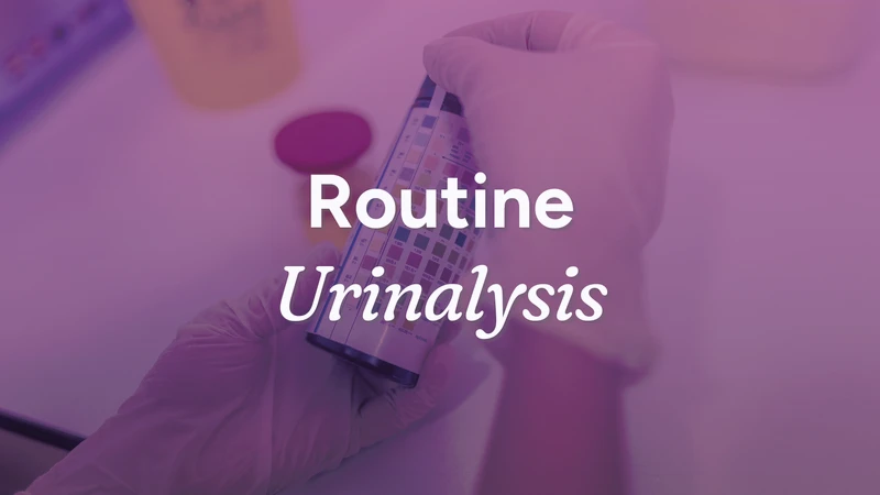 Routine Urinalysis All Schedules | Hati Health