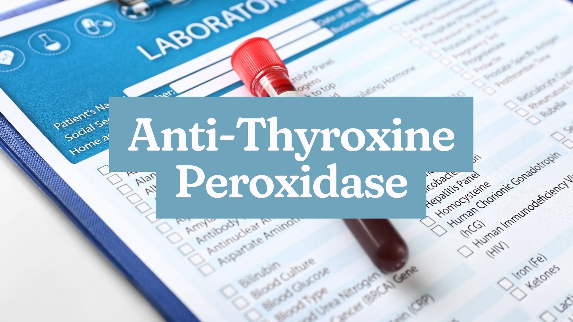 Anti-Thyroid Peroxidase | Hati Health