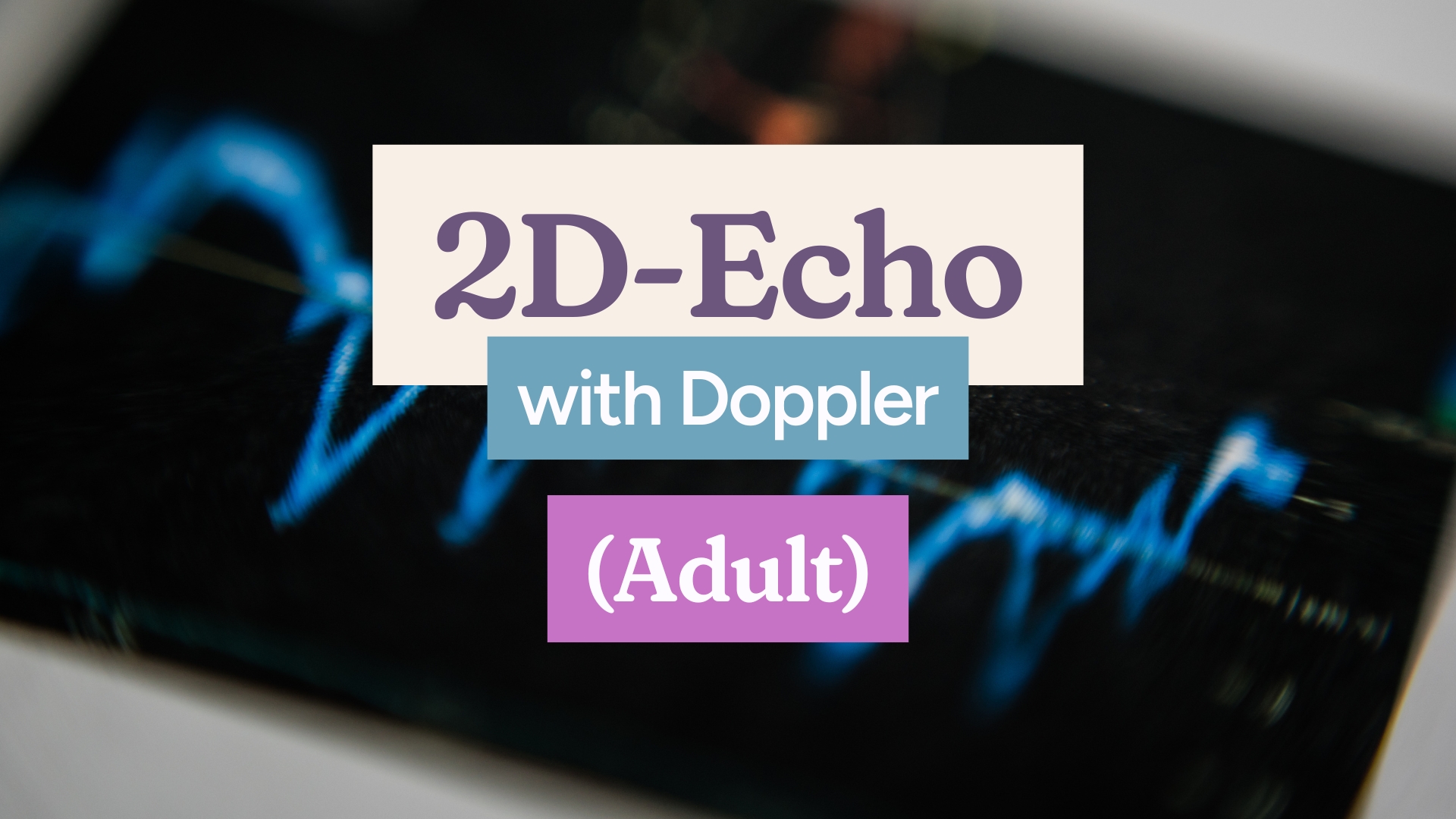 What is a 2D-Echo with Doppler for adults? | Hati Health