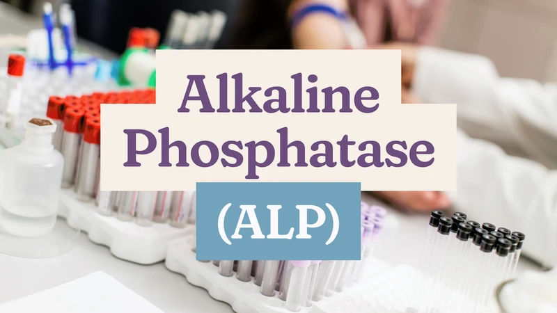 Alkaline Phosphatase (ALP) by Hi-Precision at SAN MATEO RIZAL
