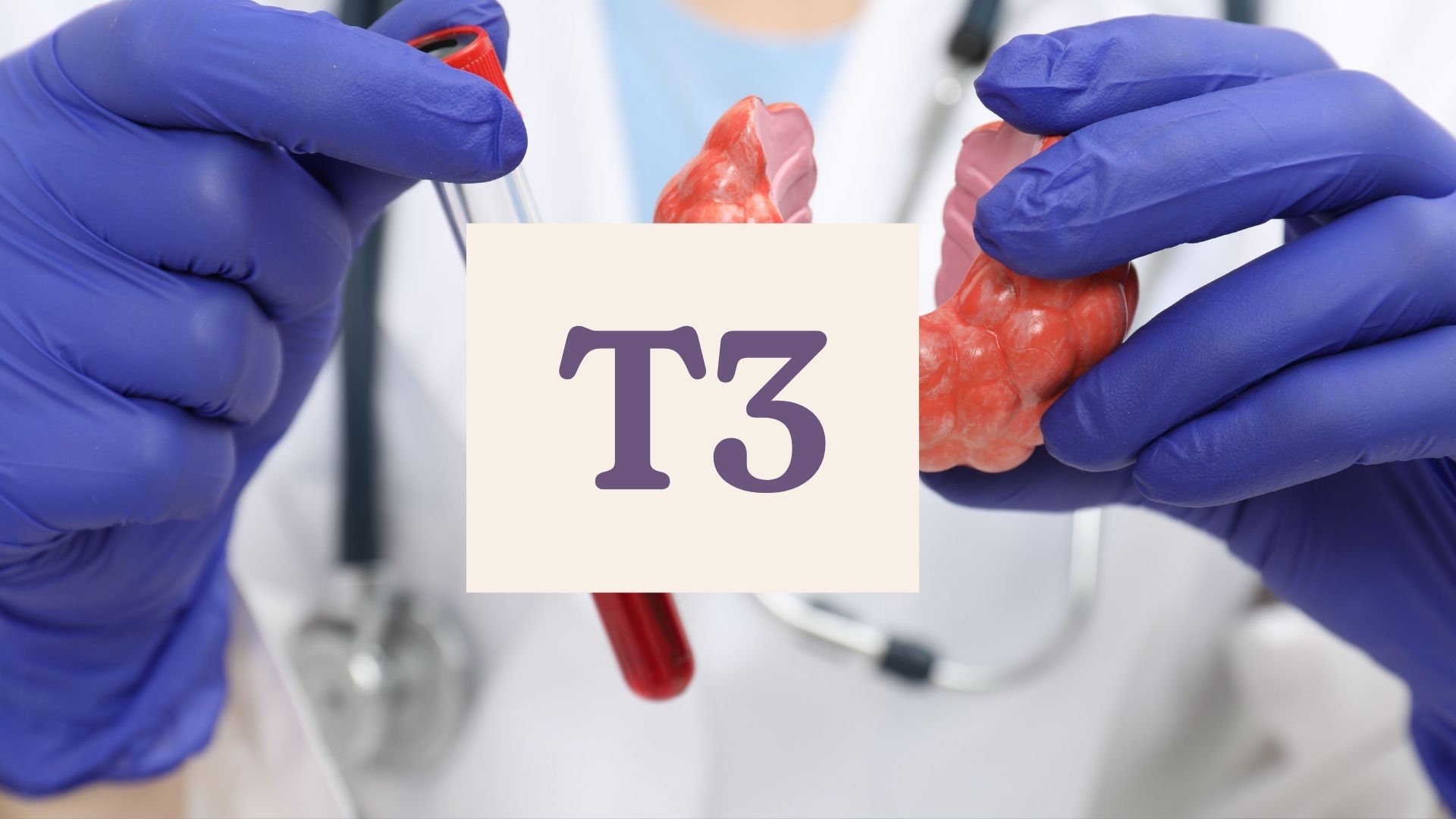 T3 by Hi-Precision at BACOOR CAVITE | Hati Health