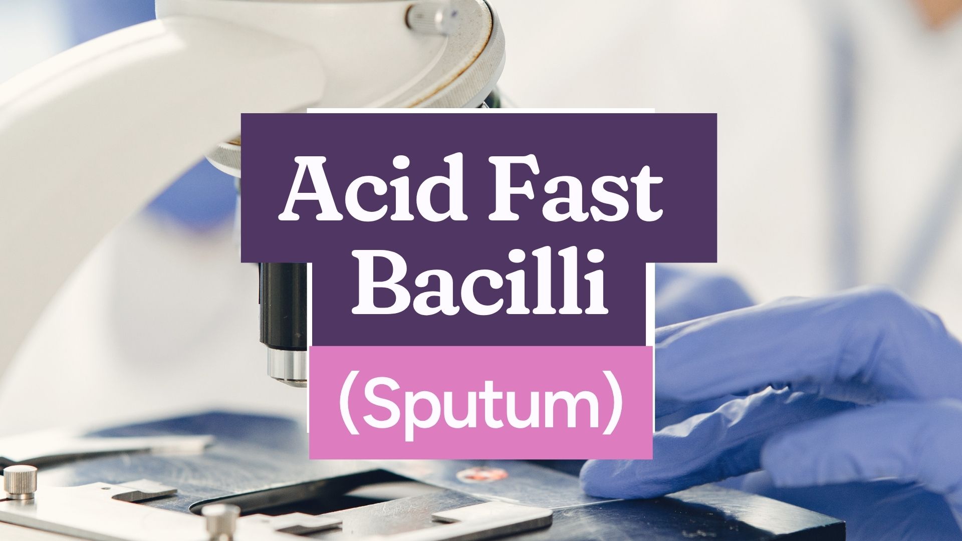 Acid Fast Bacilli (Sputum) by Hi-Precision at T.M KALAW