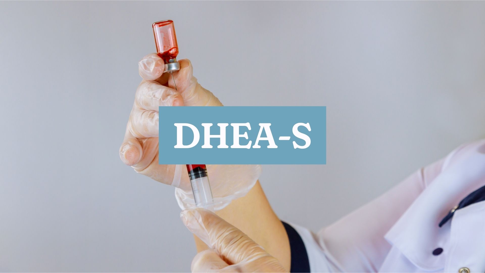 DHEA-S All Schedules | Hati Health
