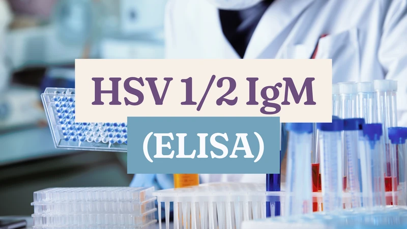 HSV 1/2 IgM (ELISA) | Hati Health