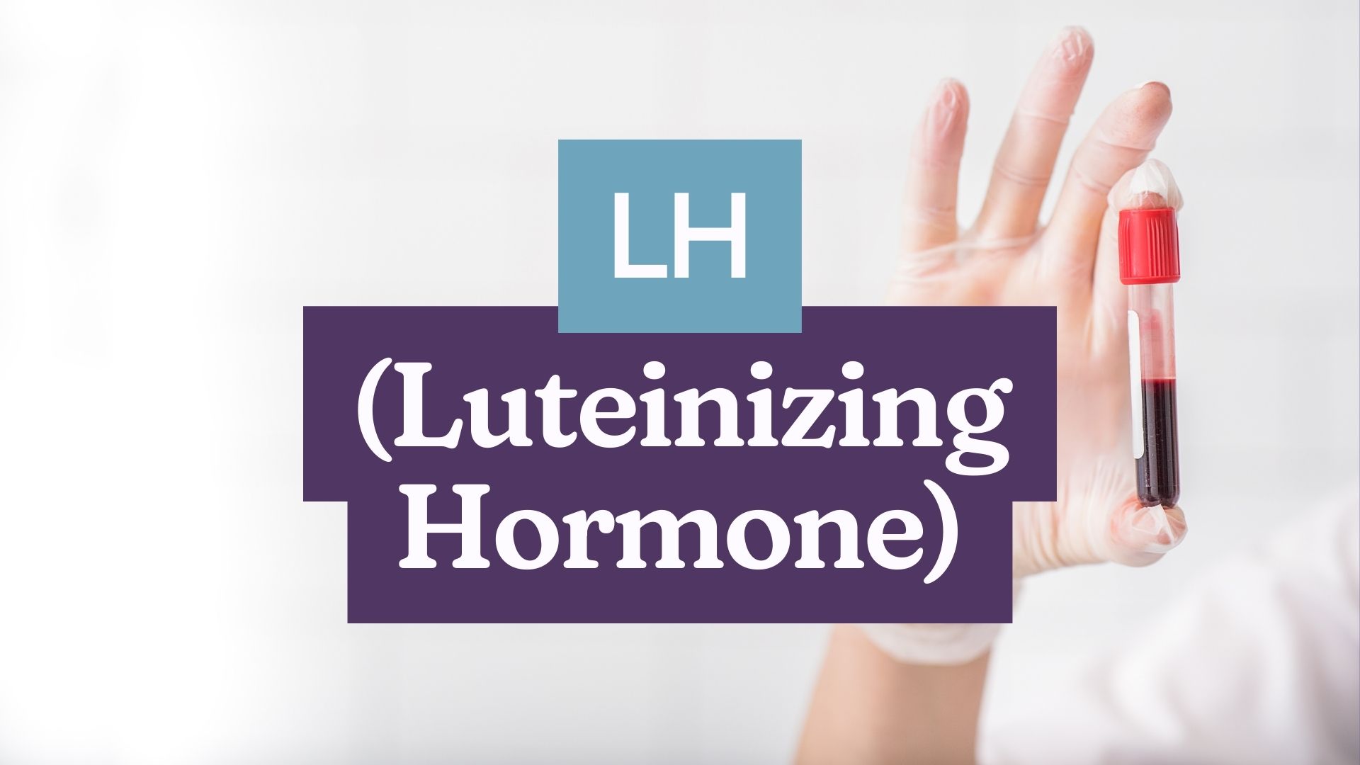 LH (Luteinizing Hormone) by Hi-Precision at BACOOR CAVITE