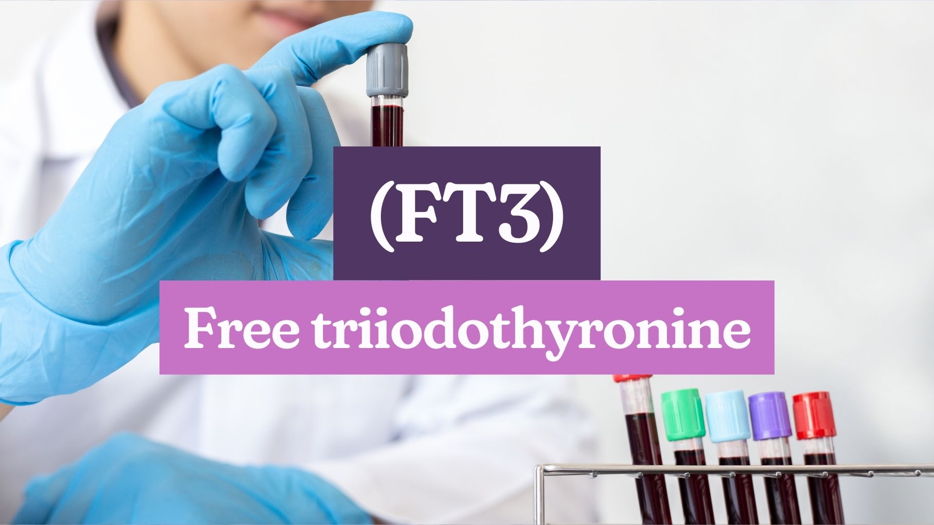 FT3 (ECLIA) All Schedules | Hati Health