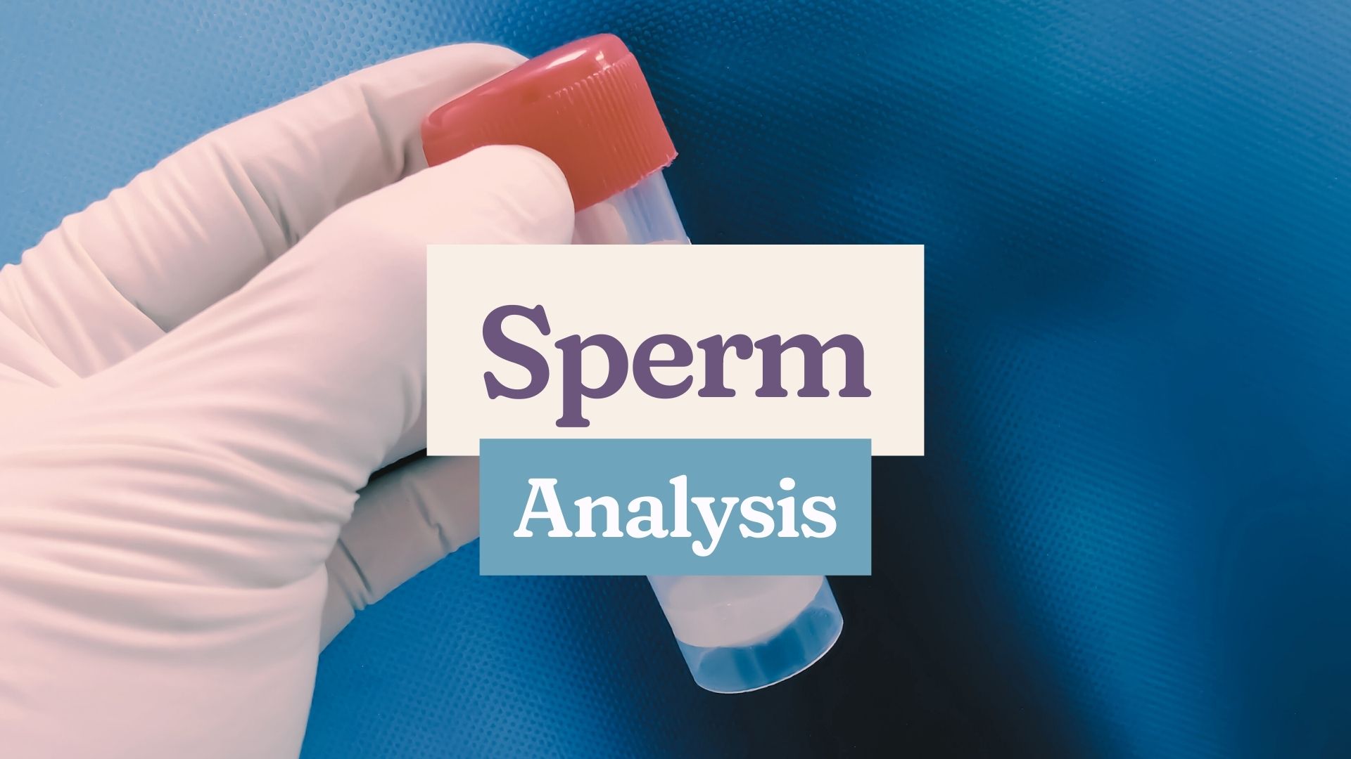 Sperm Analysis All Schedules | Hati Health